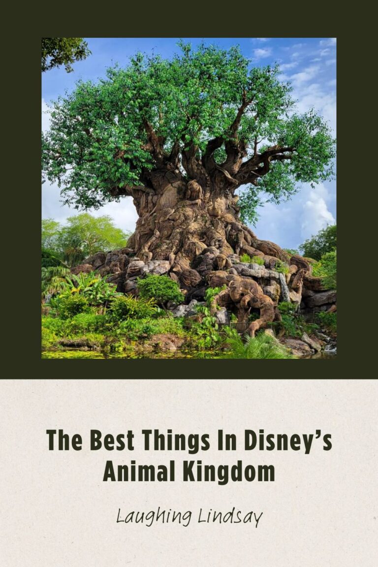 The Best Things in Animal Kingdom at Disney World - Laughing Lindsay